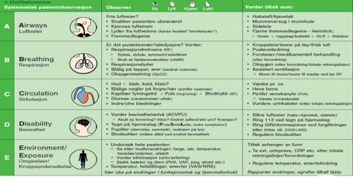 Klinisk observasjonskompetanse - Nasjonalt senter for aldring og helse